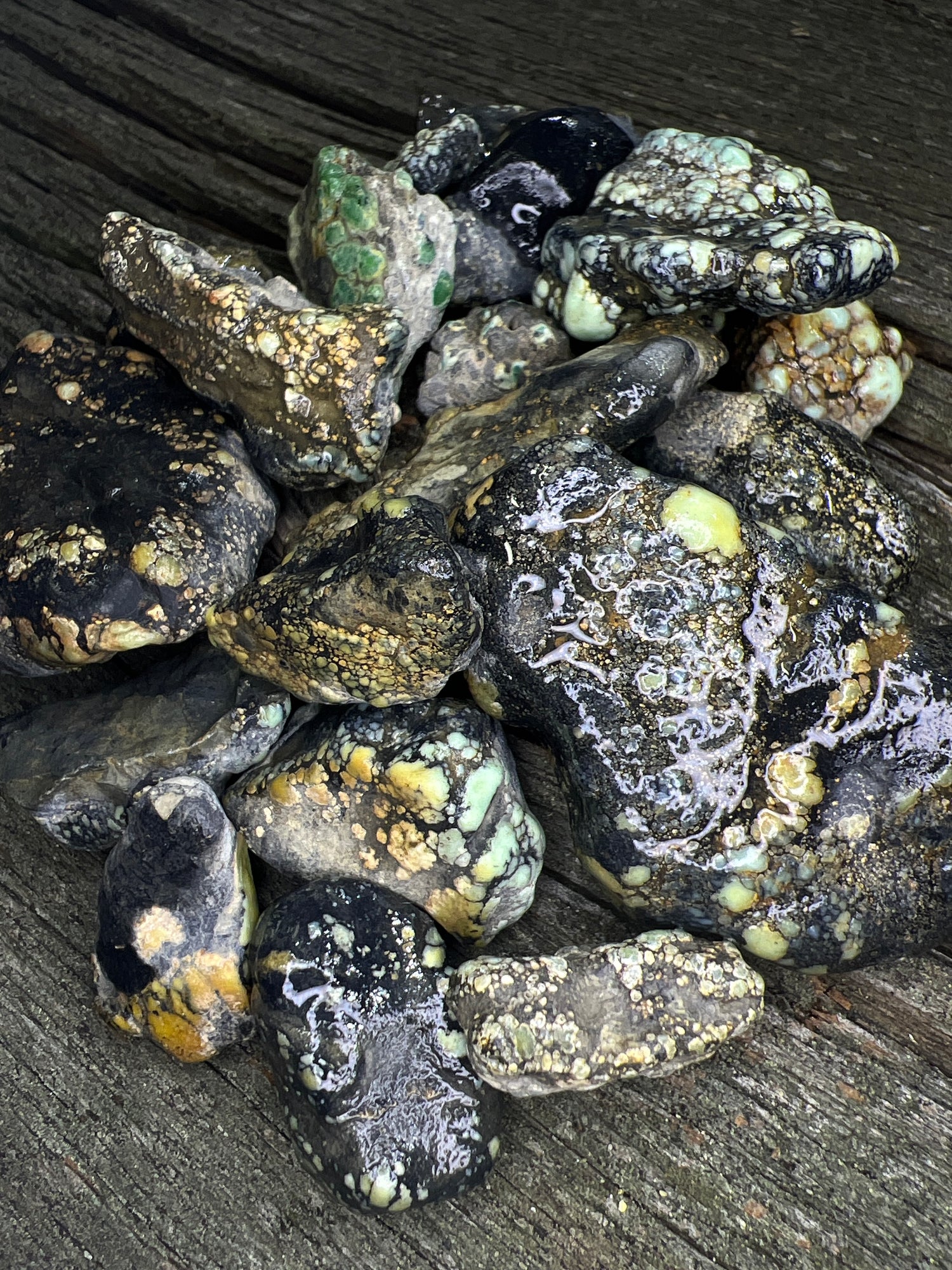 New Lander - Variscite Rough – Billy B Turquoise